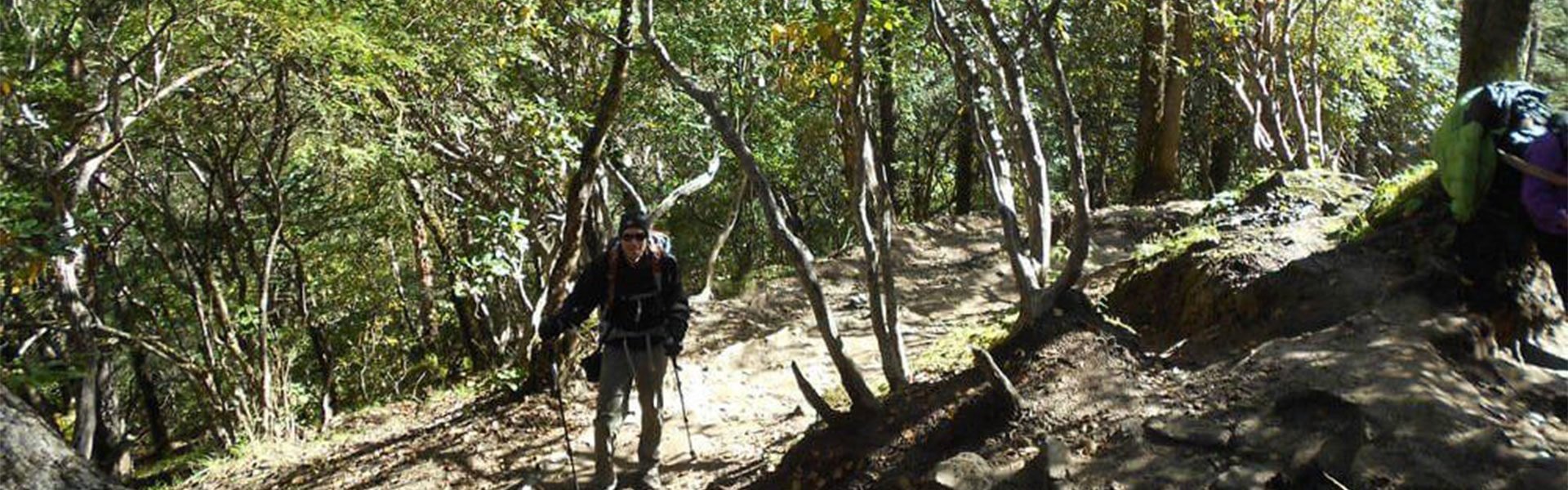 Phulchoki or PHULCHOWKI HILL , hiking, bird watching, day trip